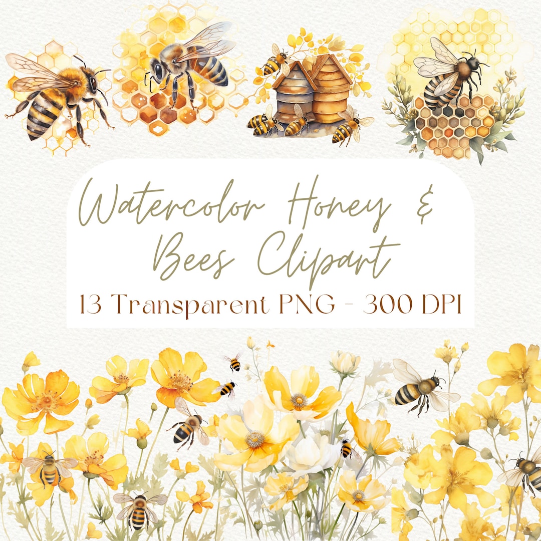 Watercolor Honey Bee Clipart Honeybee PNG Bumble Bee Honey Comb Bee ...