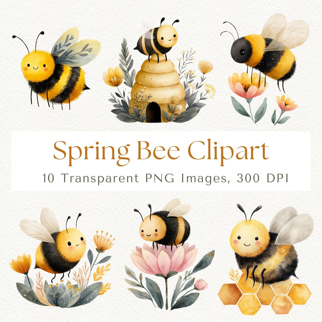 Spring Bee Clipart, Honeybee PNG Graphics (digital Download) - Etsy