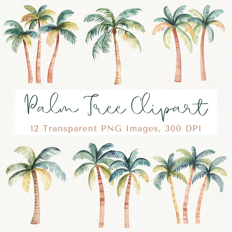 Tropical Palm Tree Clipart: Beach PNG Images (digital Download) - Etsy