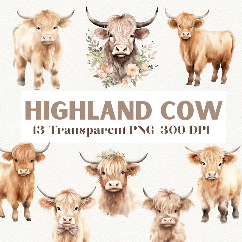 Watercolor Highland Cow Clipart Bundle, Commercial Use (PNG) - Etsy