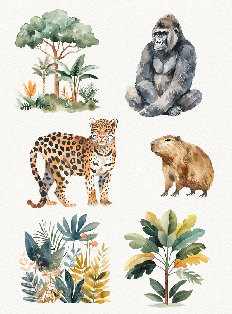 Watercolor Jungle Animals Clipart: Safari Theme PNG (digital Download ...