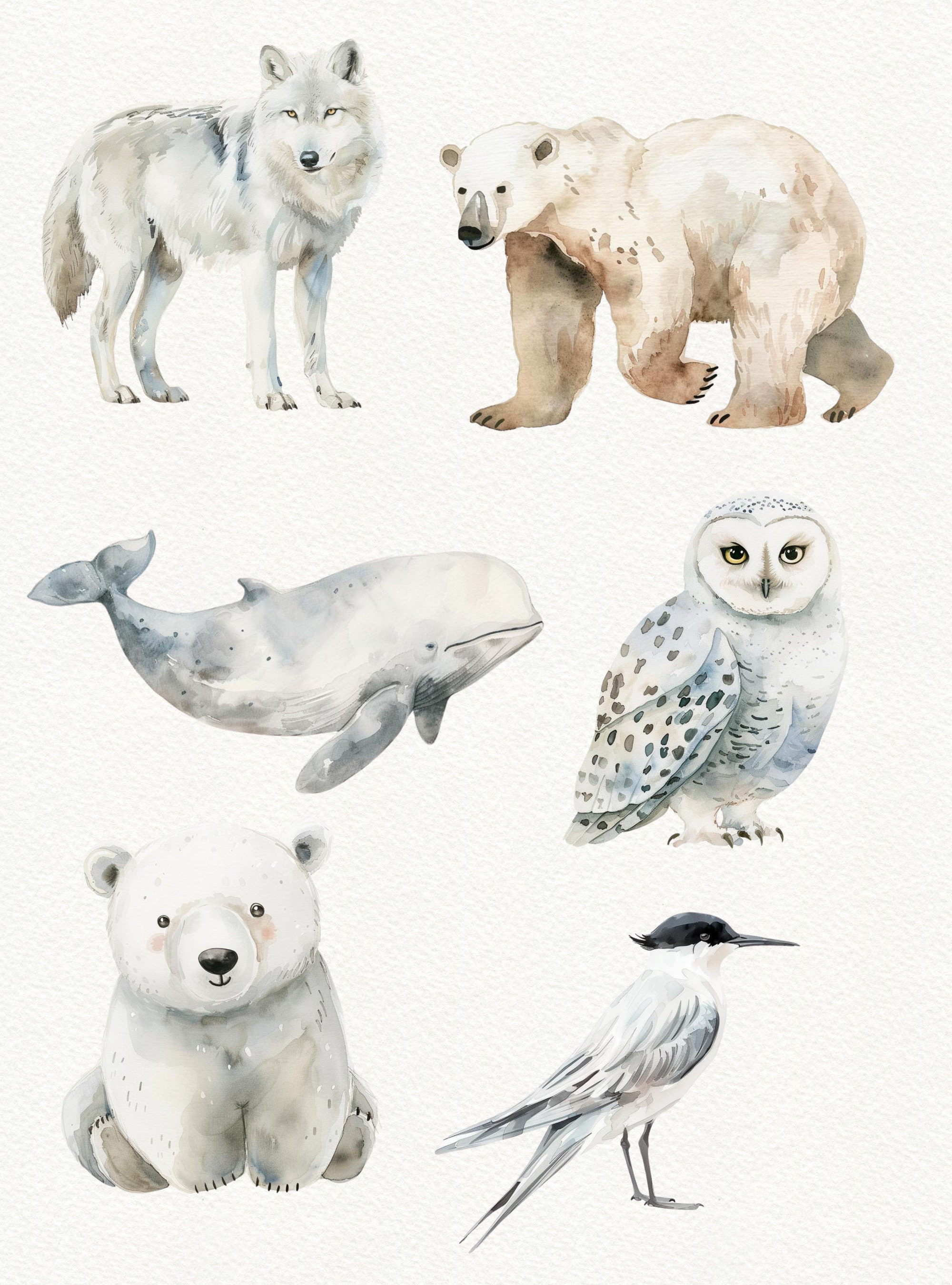 Watercolor Arctic Animal Clipart: Winter PNG Images (300 DPI) - Etsy
