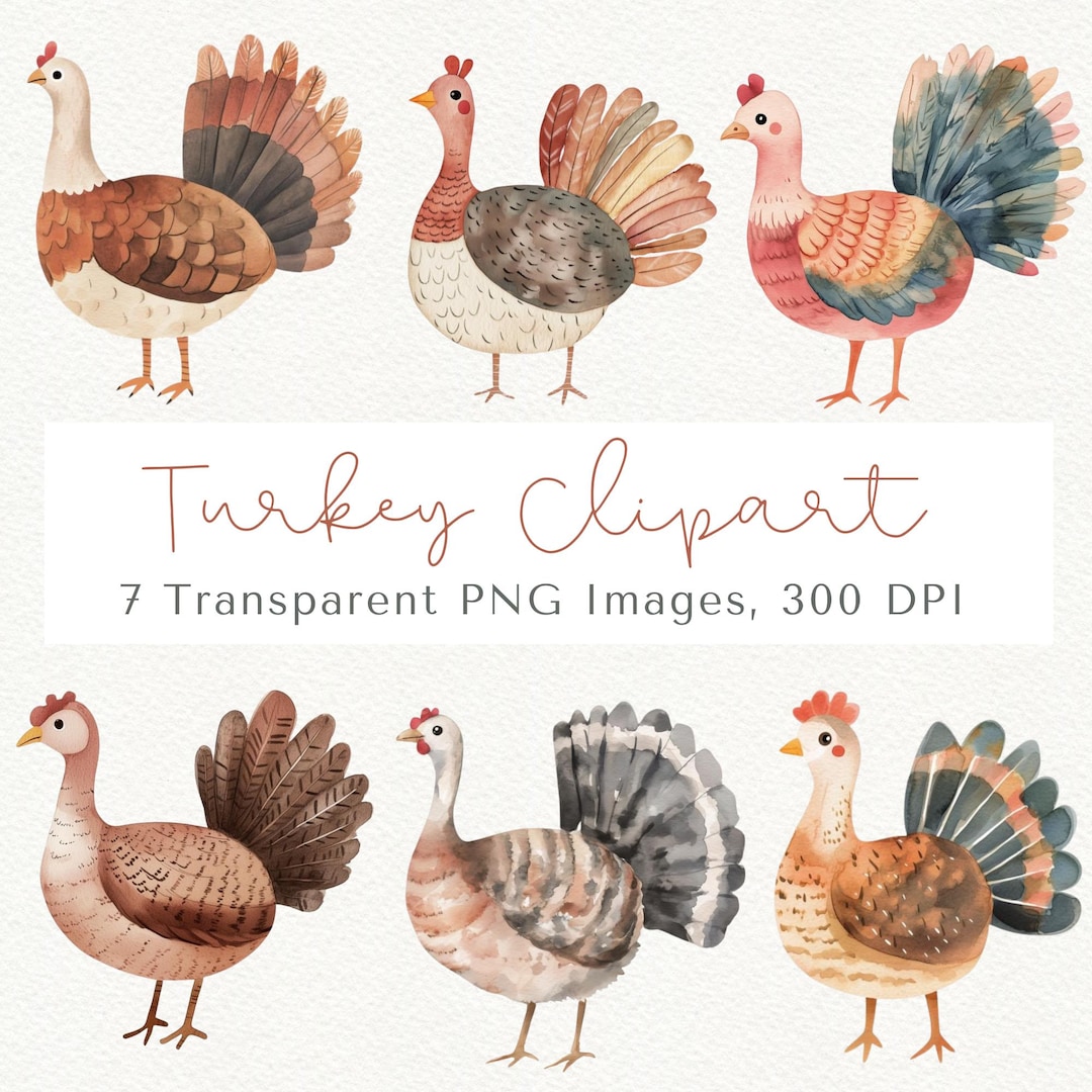 Thanksgiving Turkey Clipart, Autumn PNG Graphics (digital Download) - Etsy