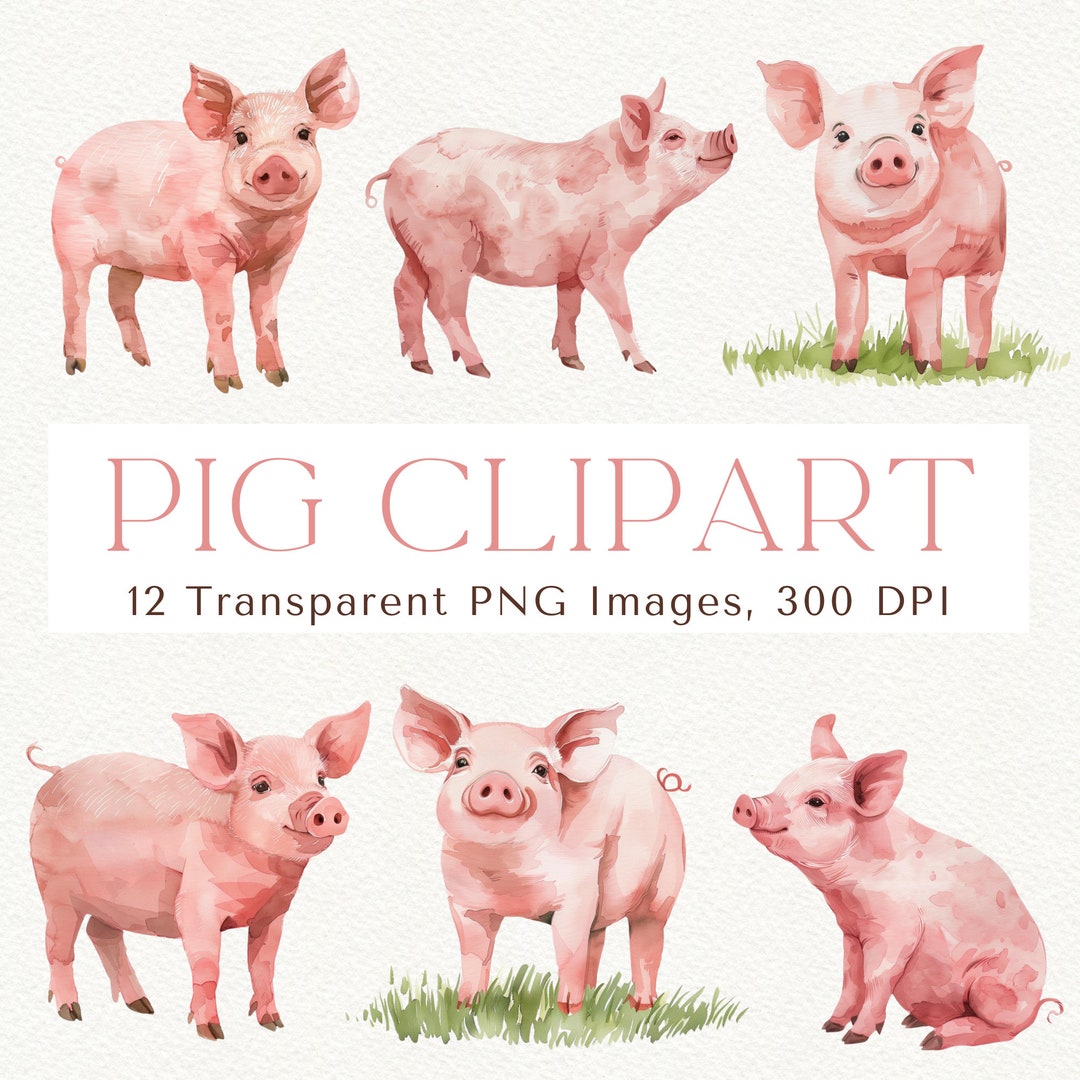 Watercolor Pig Clipart, Farm Animal PNG Images (digital Download) - Etsy