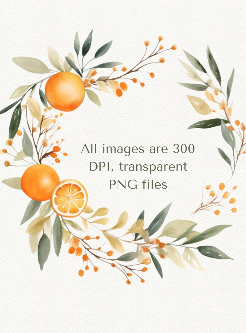 Watercolor Orange Clipart: Citrus Blossom PNG Images (digital Download ...