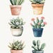Succulent & Cactus Clipart: Botanical PNG Images (digital Download) - Etsy