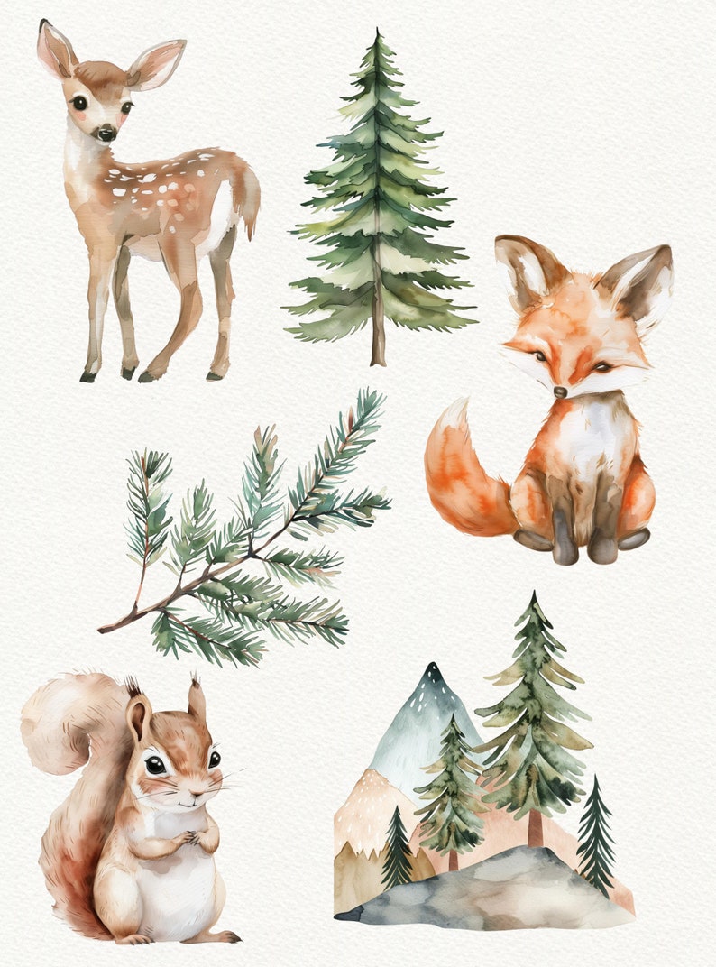 Watercolor Woodland Animals Clipart: 17 PNG Images (digital Download ...