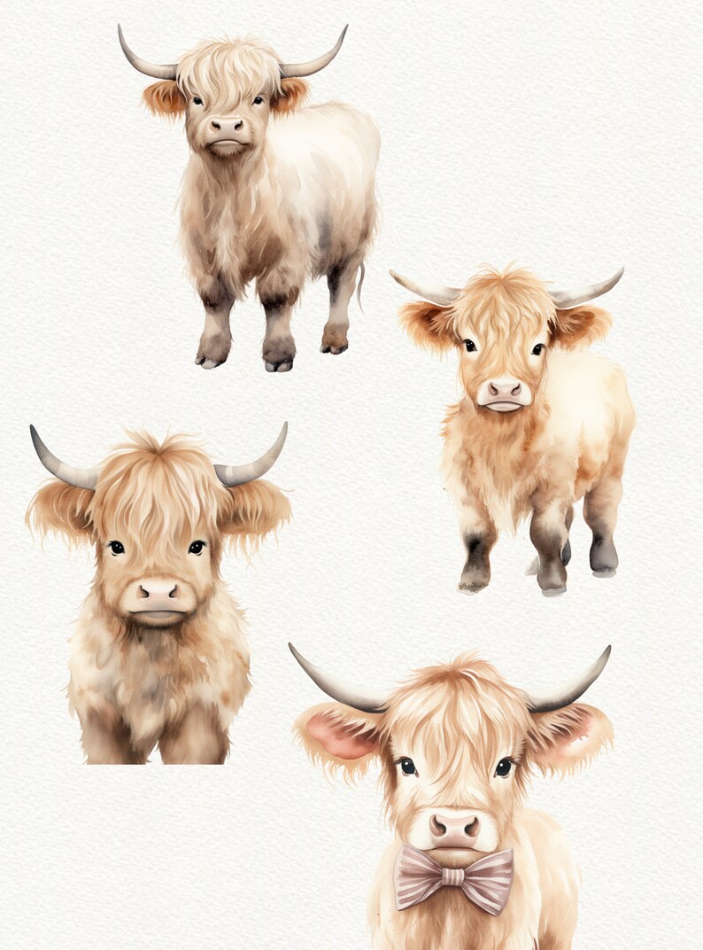 Watercolor Highland Cow Clipart Bundle, Commercial Use (PNG) - Etsy
