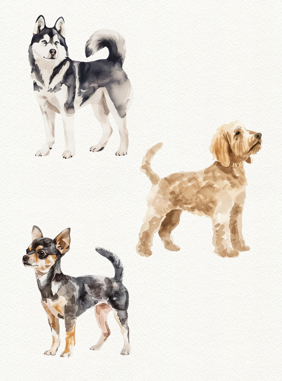 Dog Breeds Clipart: 18 Watercolor Puppy PNG Images (300 DPI) - Etsy