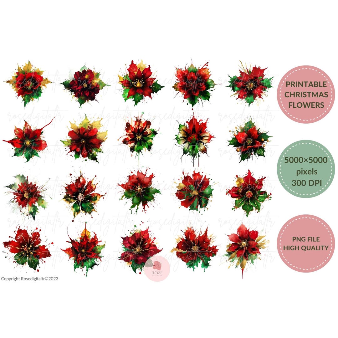 20 Printable Christmas Flowers Clipart Bundle 4, High Quality, Digital ...