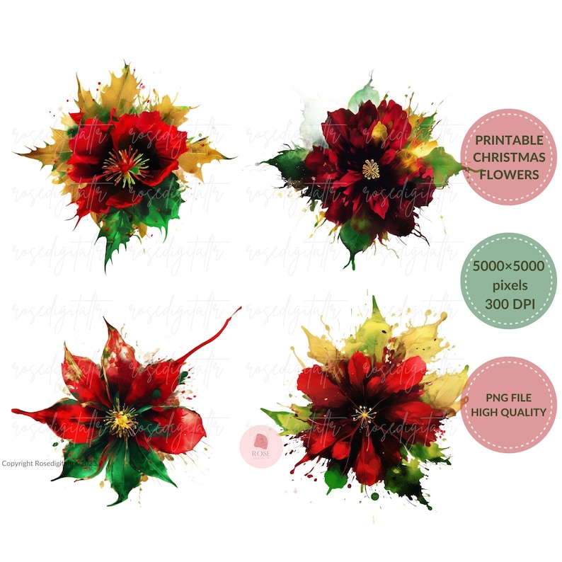 20 Printable Christmas Flowers Clipart Bundle 4, High Quality, Digital ...