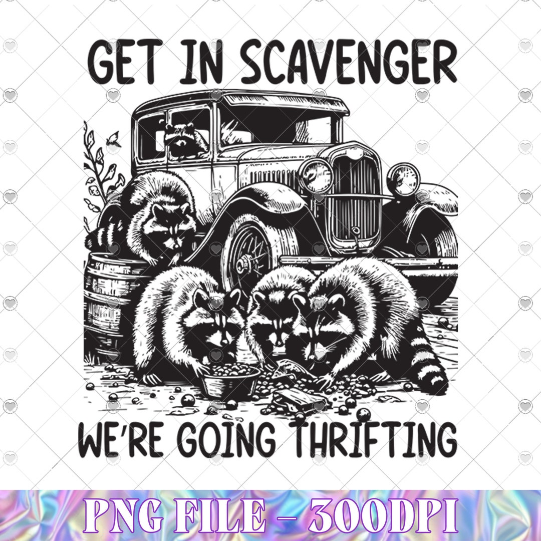 Get in Scavenger Raccoon Meme Digital File, Funny Raccoon Meme Png ...