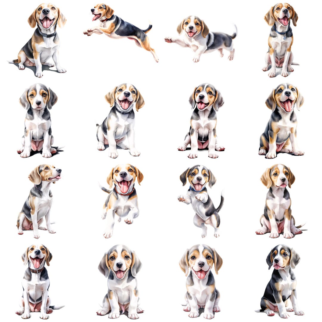 24 Hand-drawn Cute Beagle Art Pack Pencil Watercolor Clipart for Wall ...