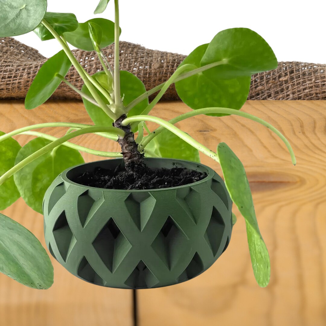 The Welen Planter Pot With Drainage: Tray & Stand Included Modern and ...