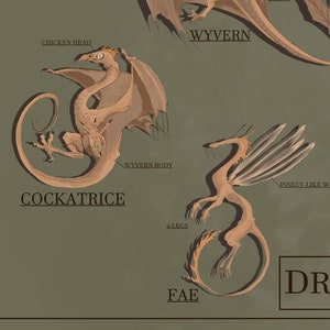 Dragon Informational Poster (digital Print Download) - Etsy