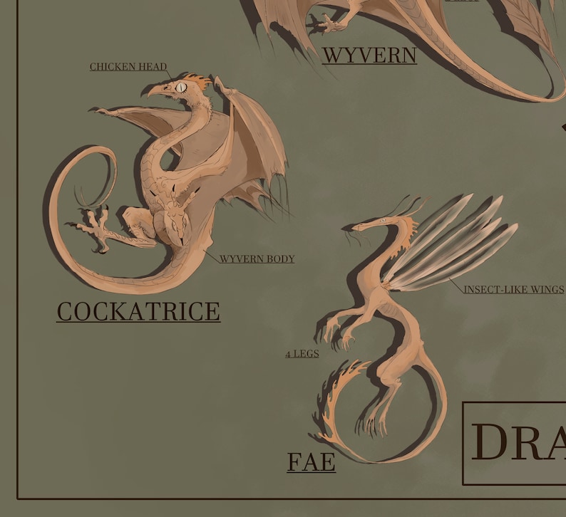 Dragon Informational Poster (digital Print Download) - Etsy