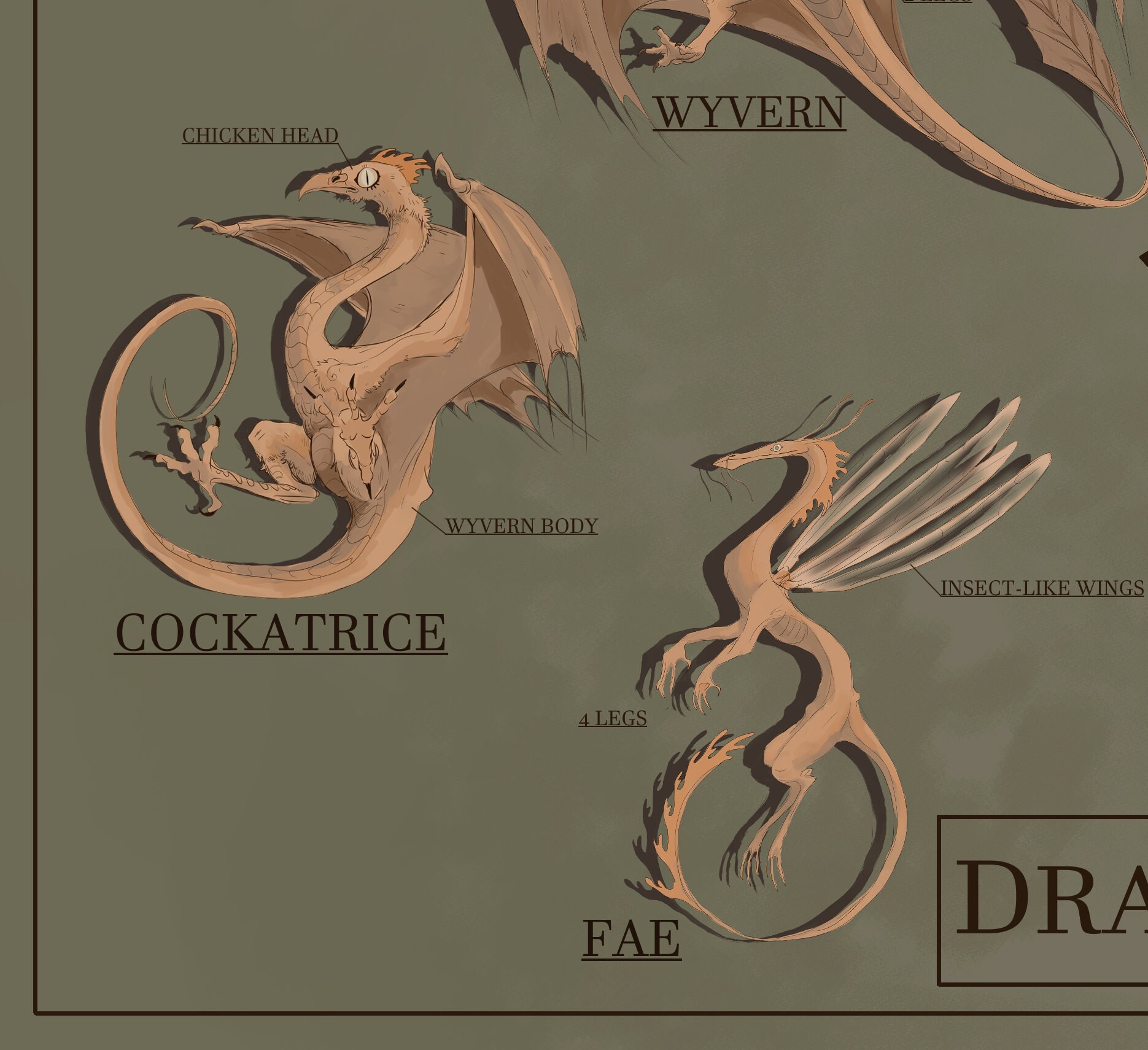 Dragon Informational Poster (digital Print Download) - Etsy