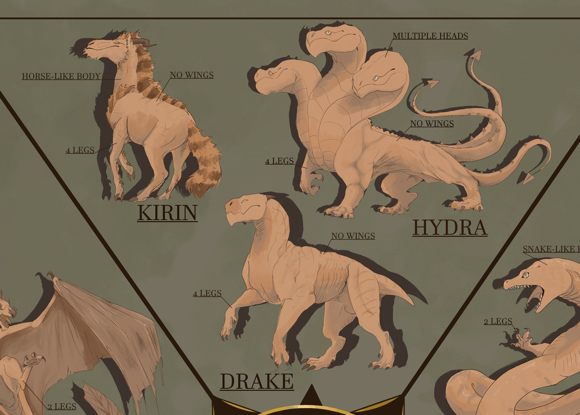 Dragon Informational Poster (digital Print Download) - Etsy