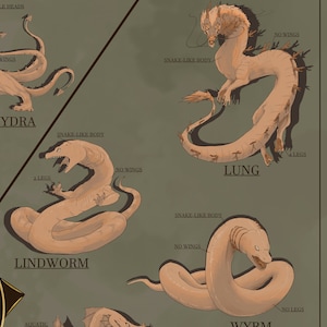 Dragon Informational Poster (digital Print Download) - Etsy