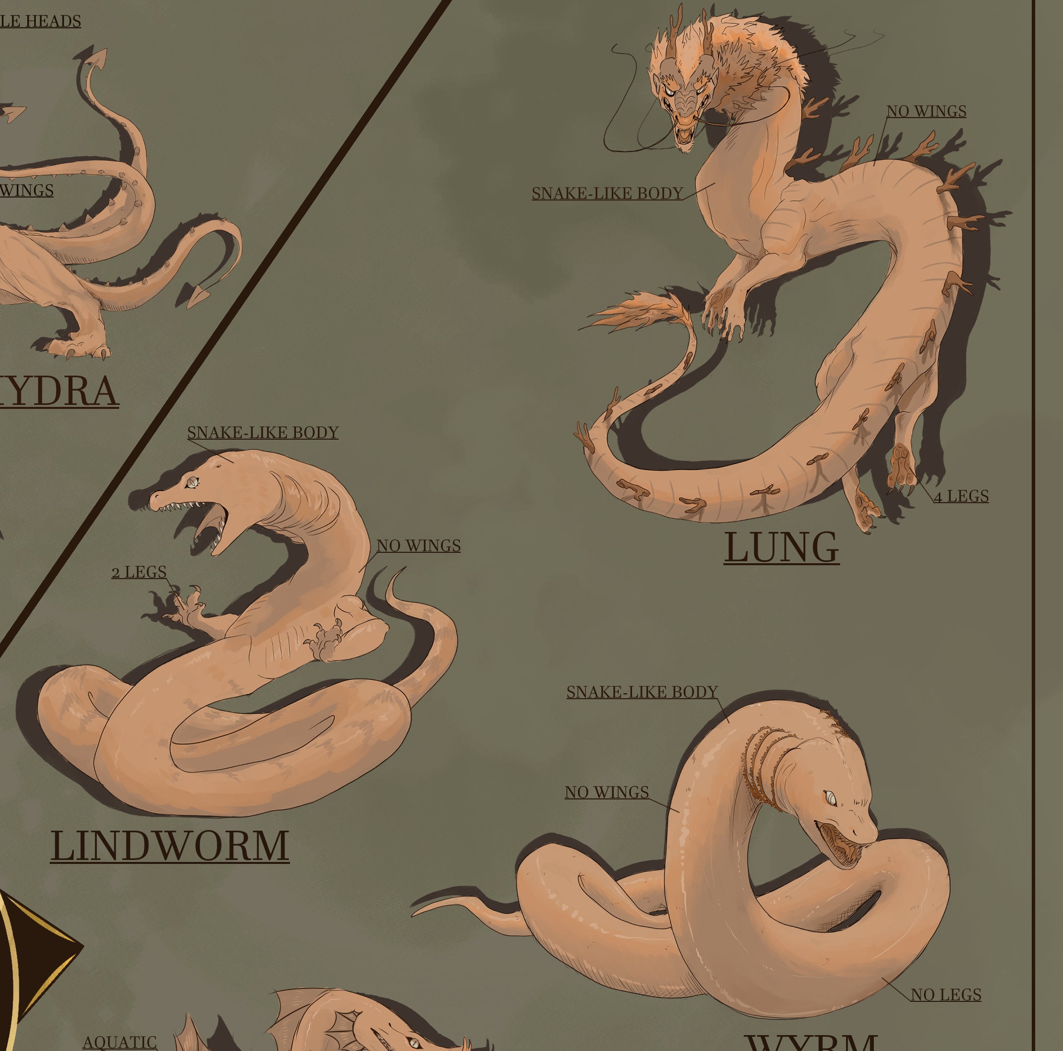 Dragon Informational Poster (digital Print Download) - Etsy