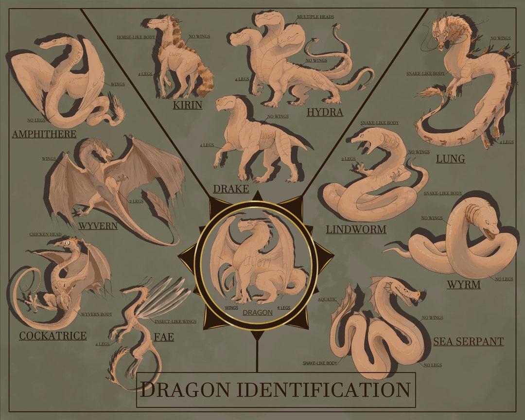 Dragon Informational Poster (digital Print Download) - Etsy