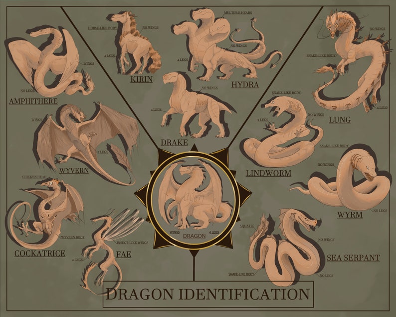 Dragon Informational Poster (digital Print Download) - Etsy