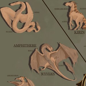 Dragon Informational Poster (digital Print Download) - Etsy