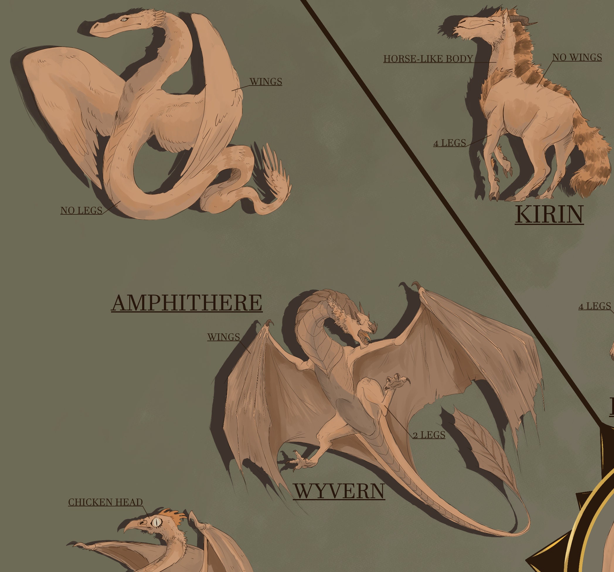 Dragon Informational Poster (digital Print Download) - Etsy