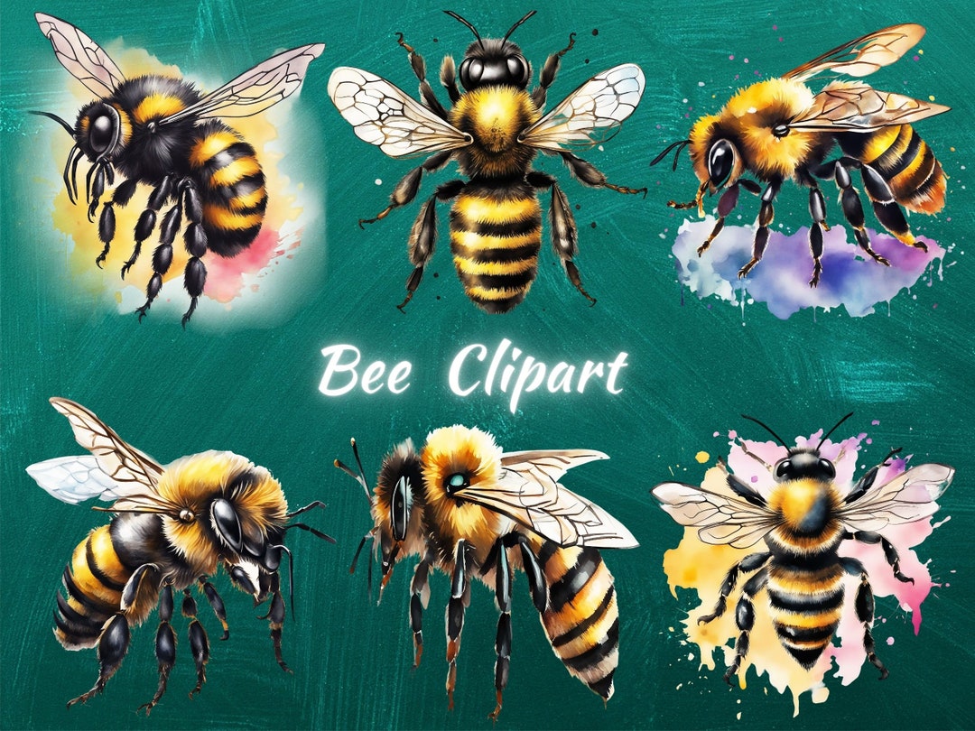 14 Watercolor Bumblebee Clipart, Digital Download, Digital Paper Craft ...