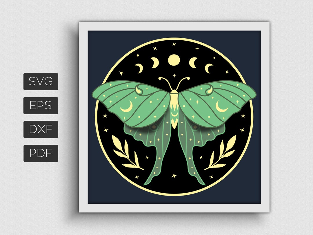 Luna Moth Shadow Box, Butterfly Shadow Box Svg, Moth Paper Craft, Luna ...