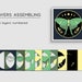 Luna Moth Shadow Box, Butterfly Shadow Box Svg, Moth Paper Craft, Luna ...
