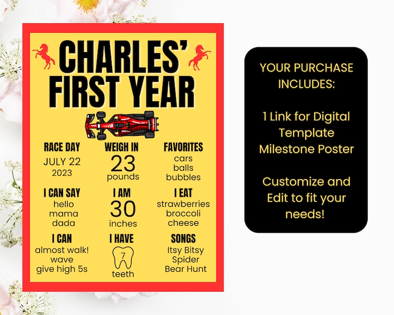 F1 1st Birthday Milestone Poster, Digital Template, Party Decoration or ...