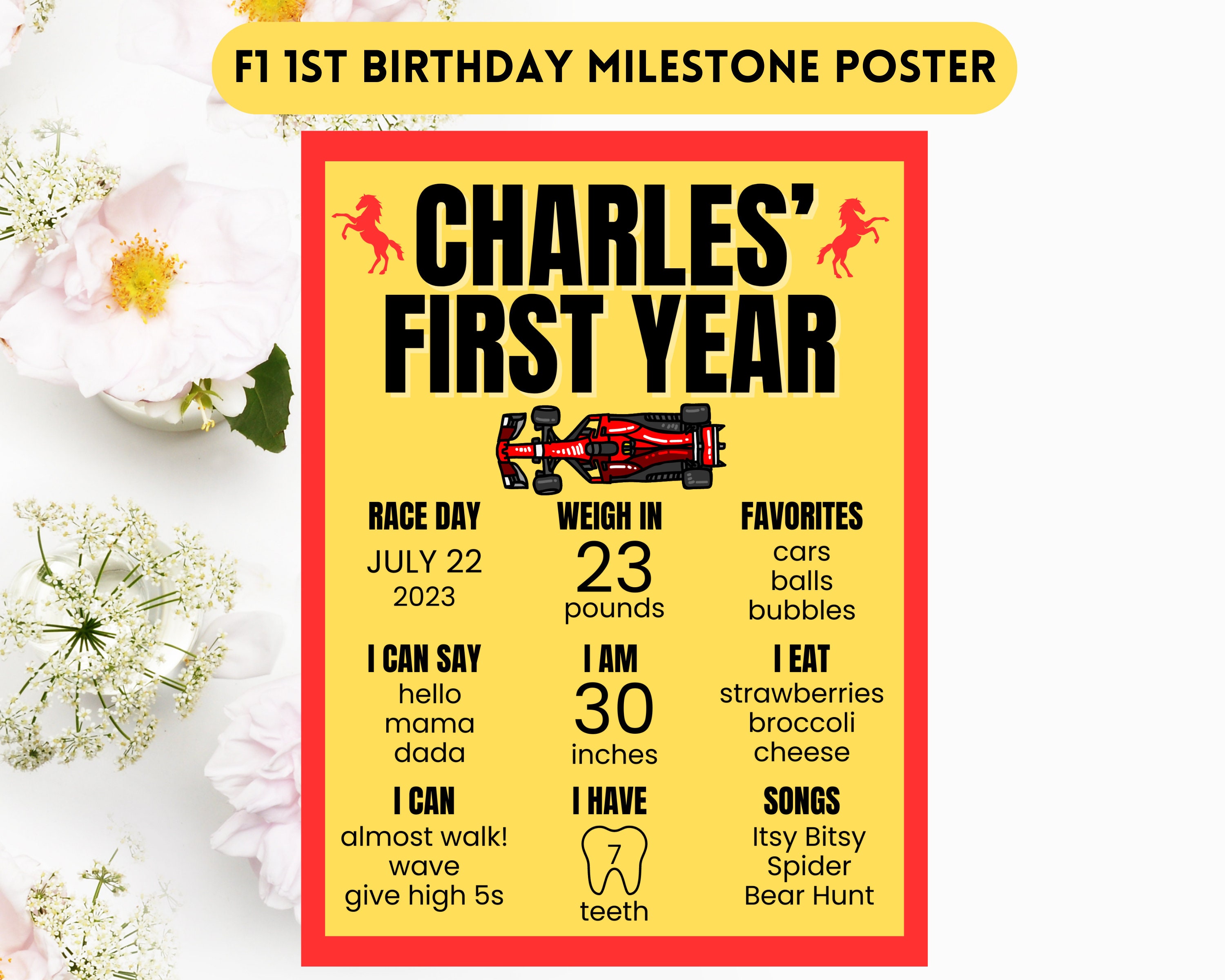 F1 1st Birthday Milestone Poster, Digital Template, Party Decoration or ...