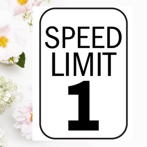 FORMULA ONE! Boy's 1st Birthday Party Signs/decor. F1, Race Cars, Speed ...