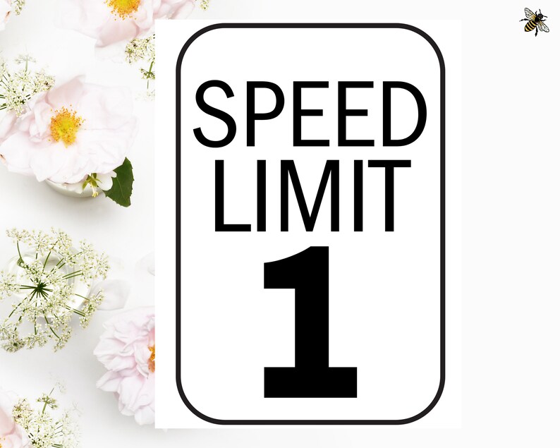 FORMULA ONE! Boy's 1st Birthday Party Signs/decor. F1, Race Cars, Speed ...