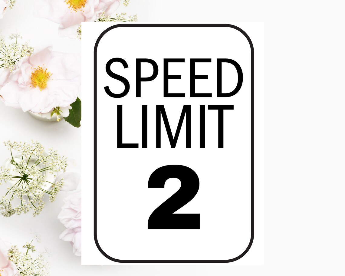 TWO FAST Party Signs Add an Extra Touch of Custom to Your Party With ...