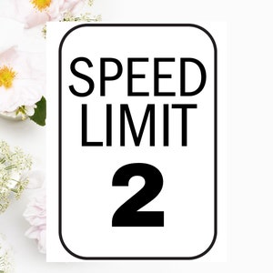 TWO FAST Party Signs! Add an Extra Touch of Custom to Your Party With ...