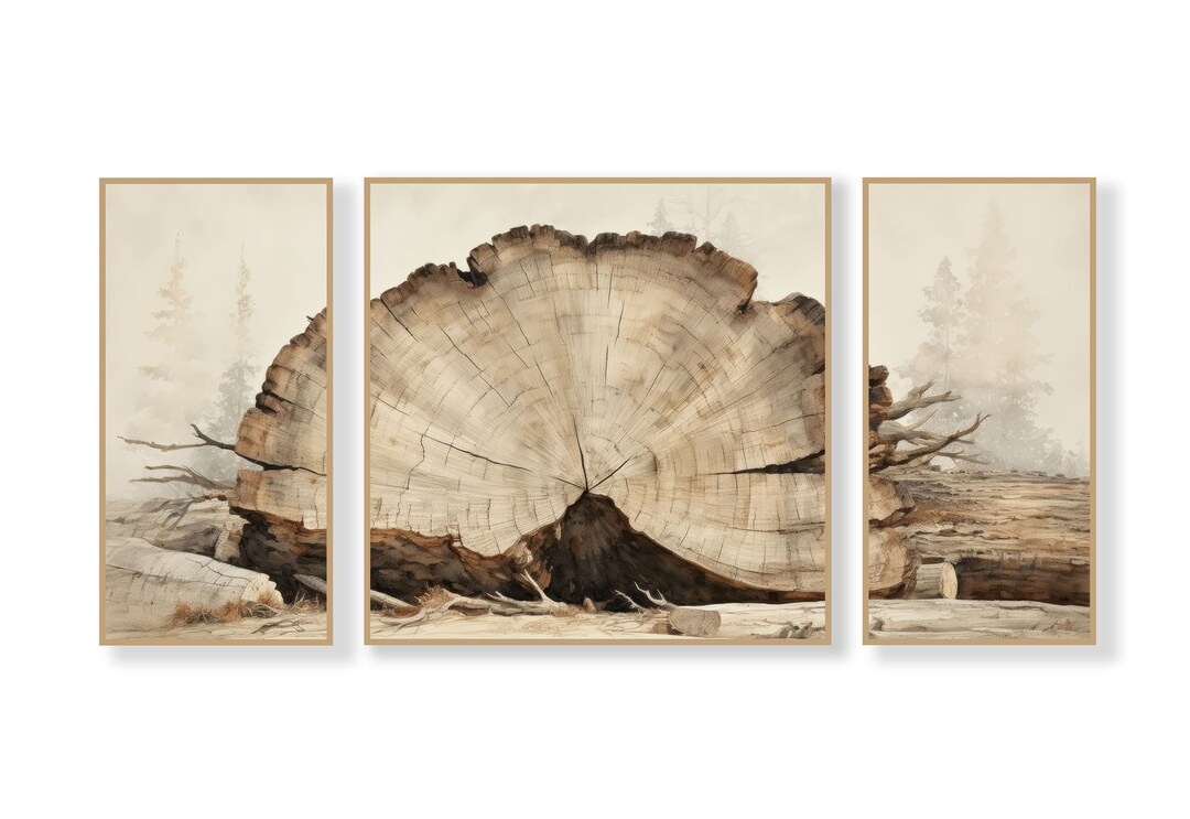 Redwood Tree Trunk Saw Cut Download Printable - Etsy
