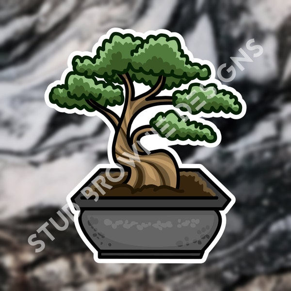 Bonsai Tree Live - Etsy