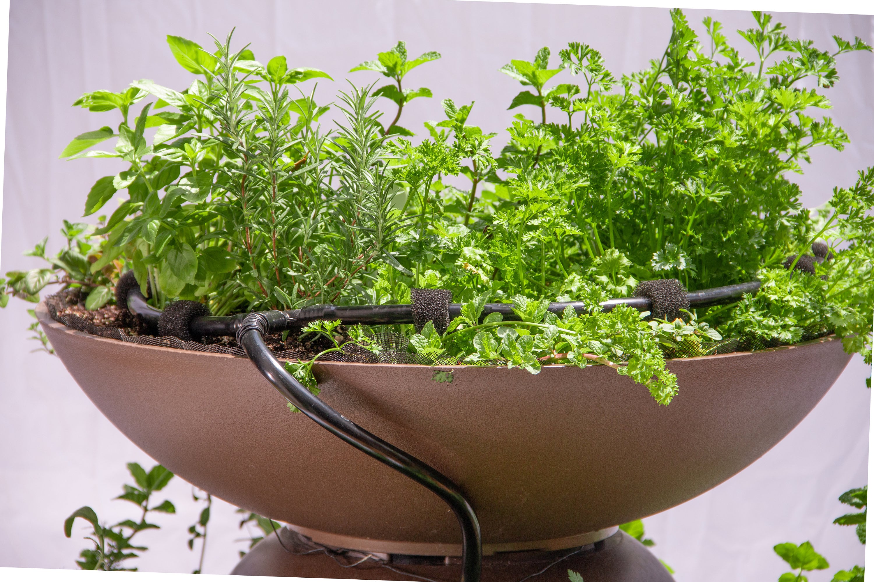 Smart Garden Planters Autonomous Hydroponic Vertical Indoor-outdoor ...