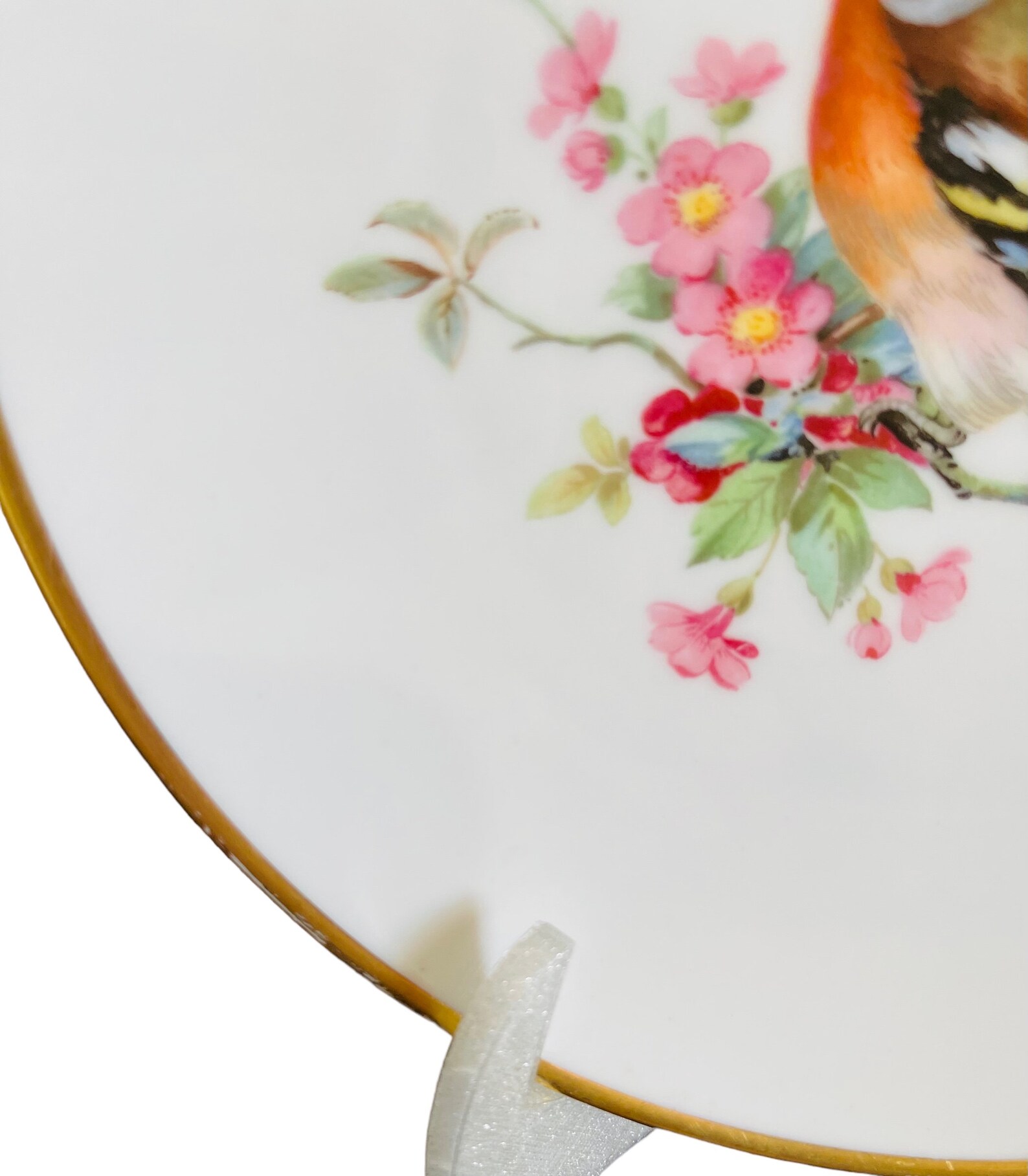 Alboth Kaiser Porcelain Bird Plate-vintage - Etsy