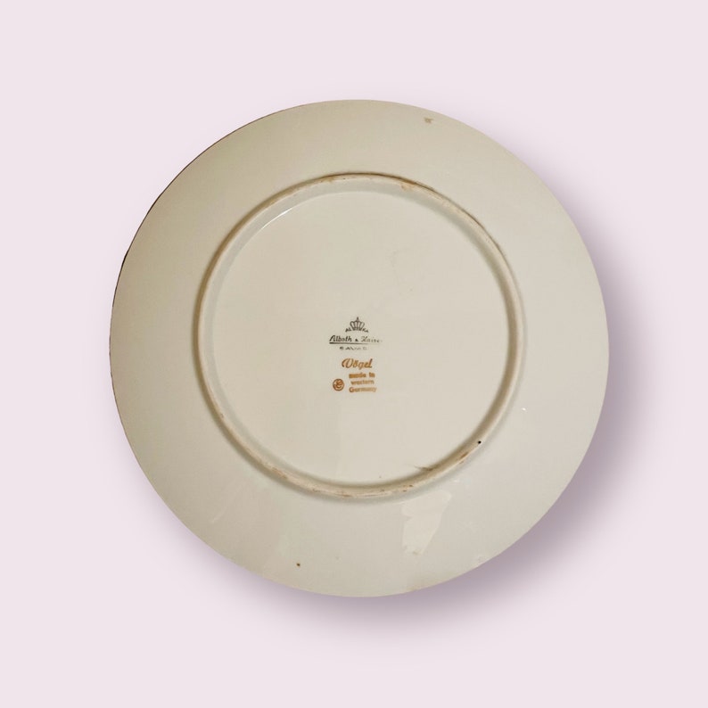 Alboth Kaiser Porcelain Bird Plate-vintage - Etsy