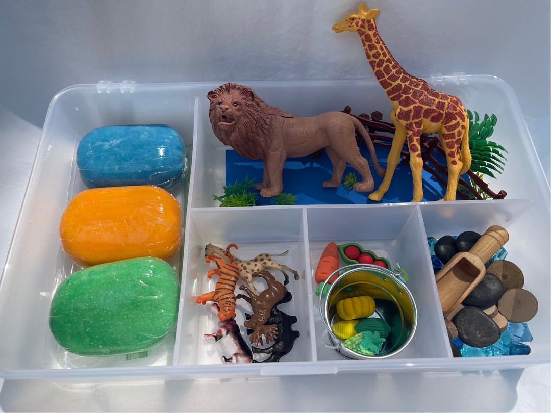 Zoo Themed Sensory Play Dough Kit - Etsy