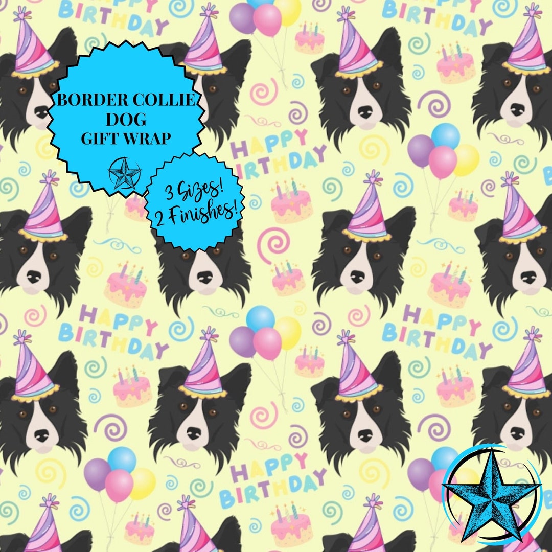 Border Collie Birthday Wrapping Paper. Vibrant Eco-luxury Collie ...