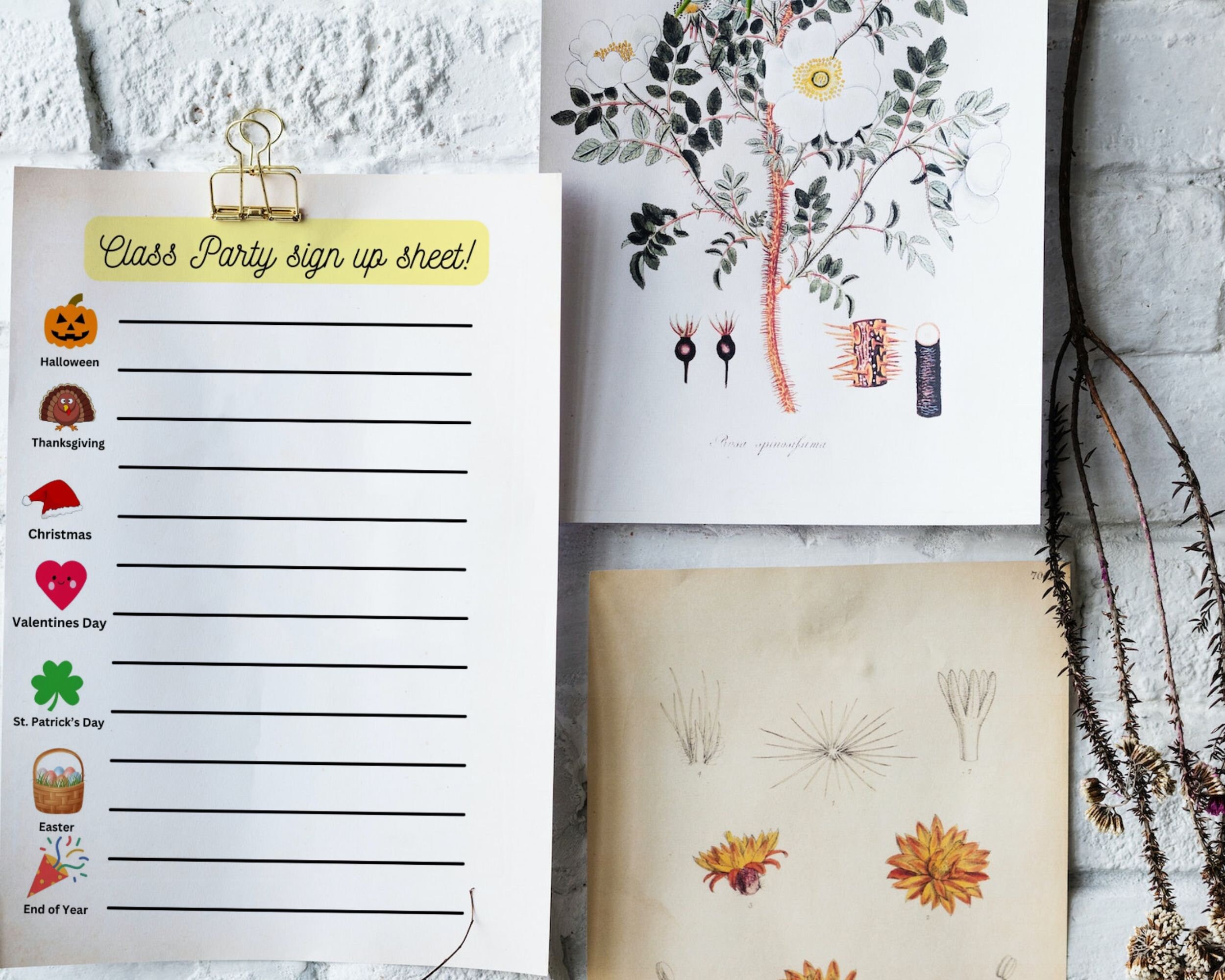 Preschool Classroom Party Sign up Sheet Printable, Celebration Digital ...