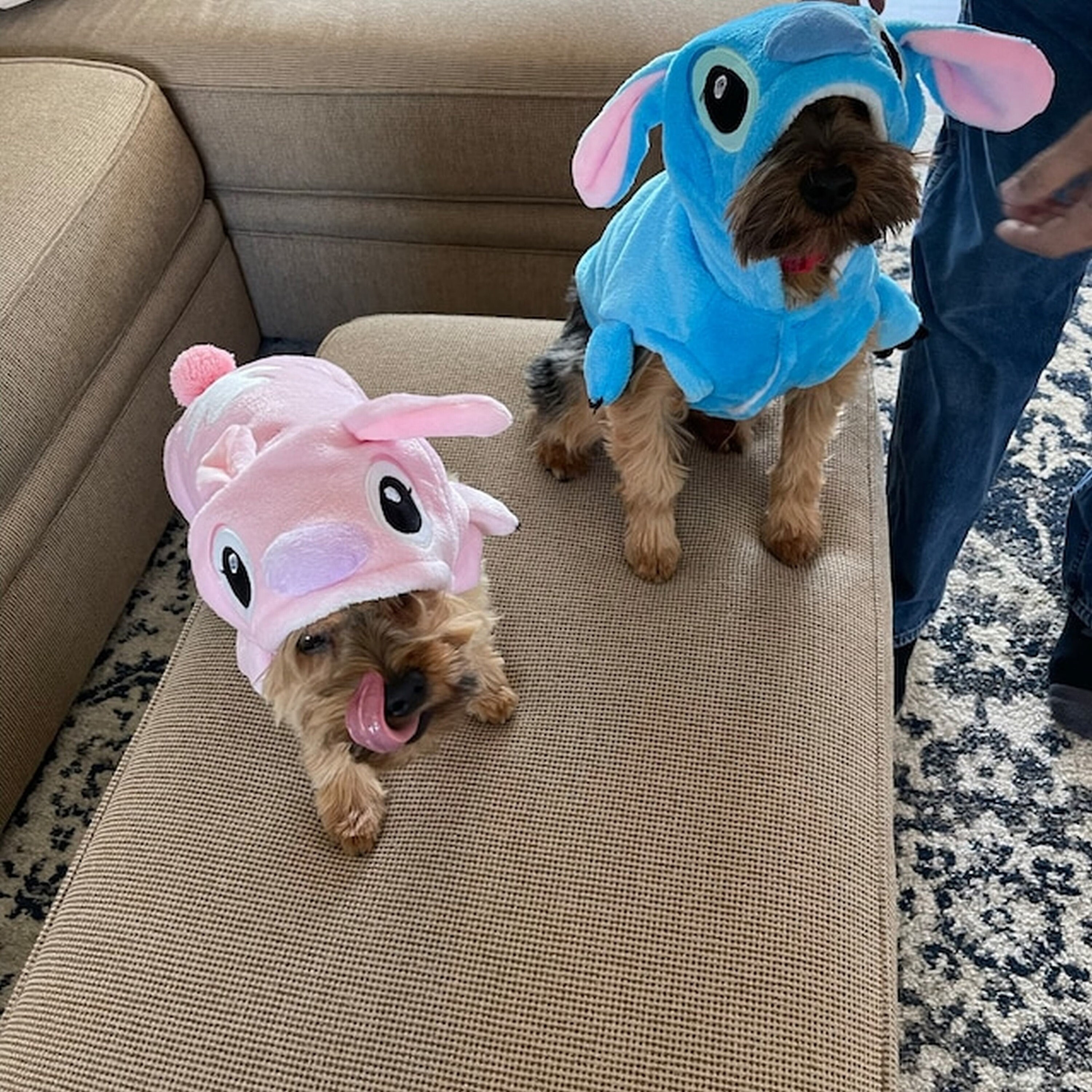 Stitch Costume Dog
