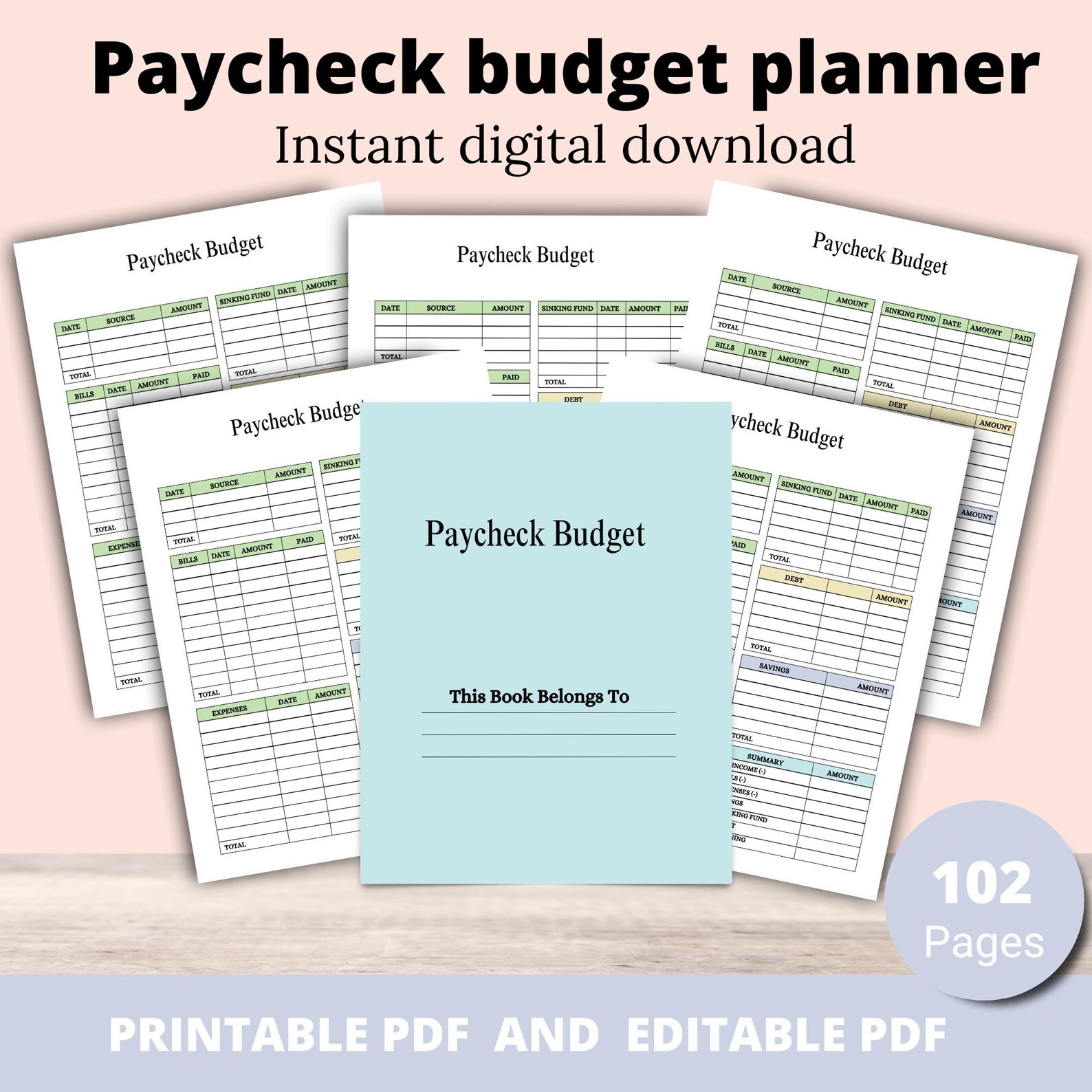Editable Paycheck Budget Planner Template Digital Financial Planner for ...