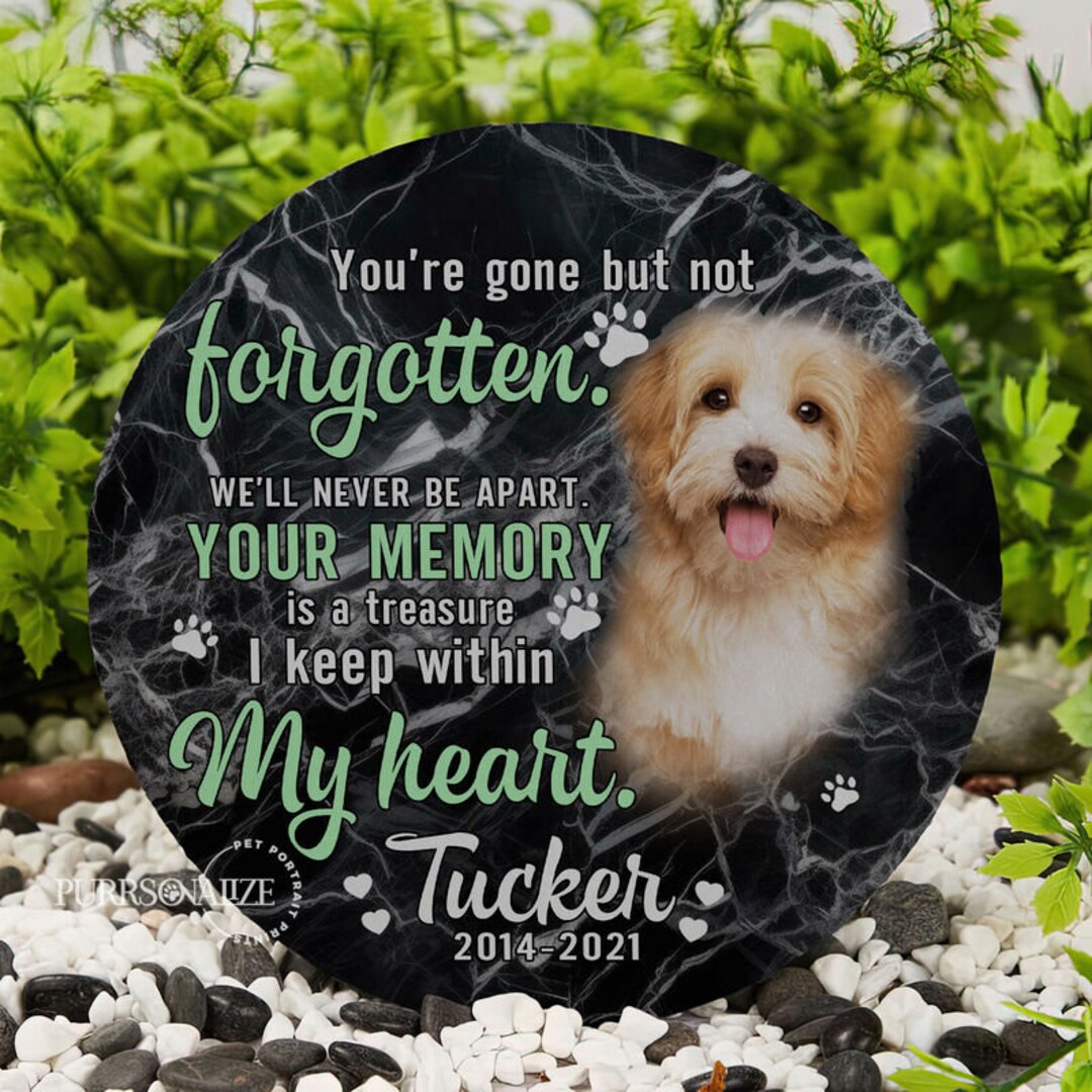 Custom Photo Pet Memorial Stone, You're Gone but Not Forgotten Dog Cat ...