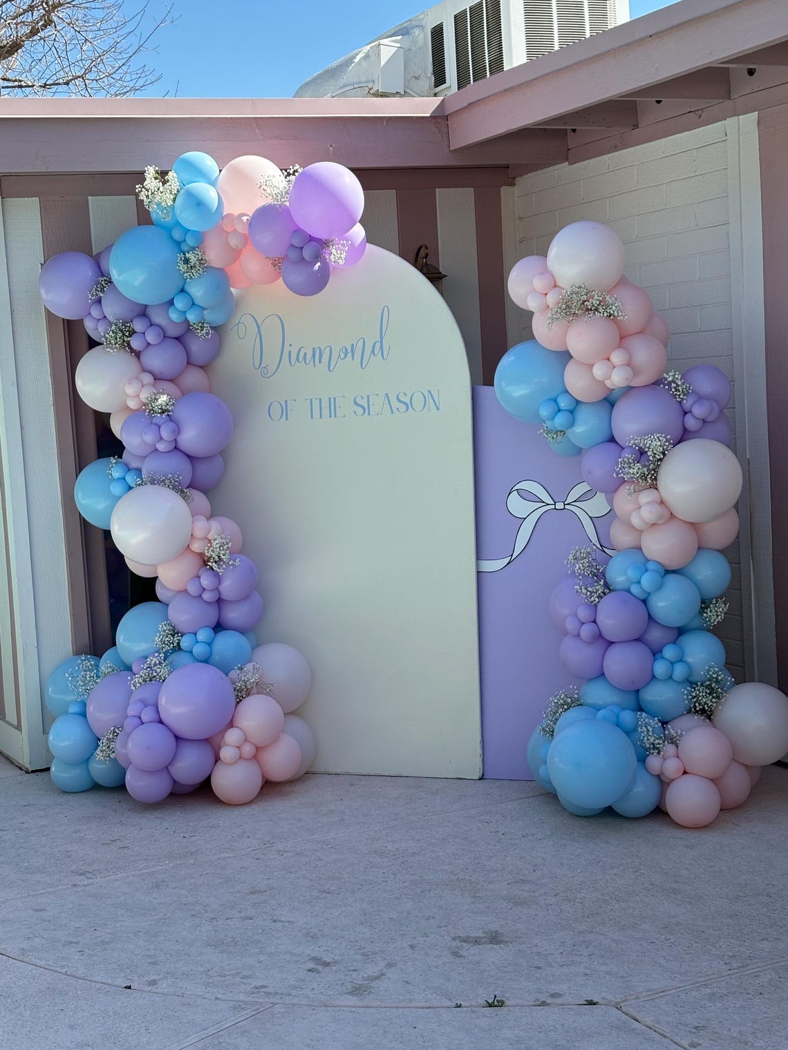 DIY Balloon Arch Kit - Design Your Own DIY Balloon Arch Kit- Customize ...