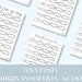 Anatomy Muscles Origin, Insertion, Action Worksheets Template, PDF ...